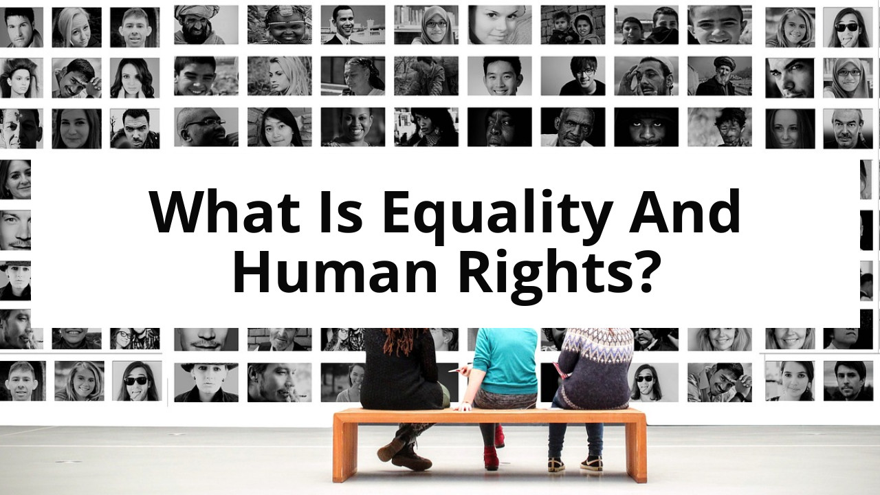 Equality vs Equity: Explanation with Examples Thumbnail, Poster and Image