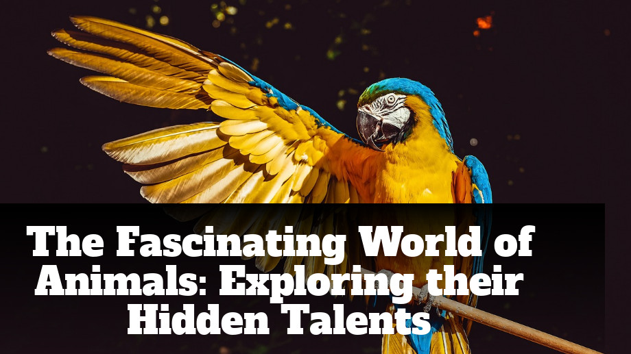 Top 10 Amazing Animal Facts Thumbnail, Poster and Image